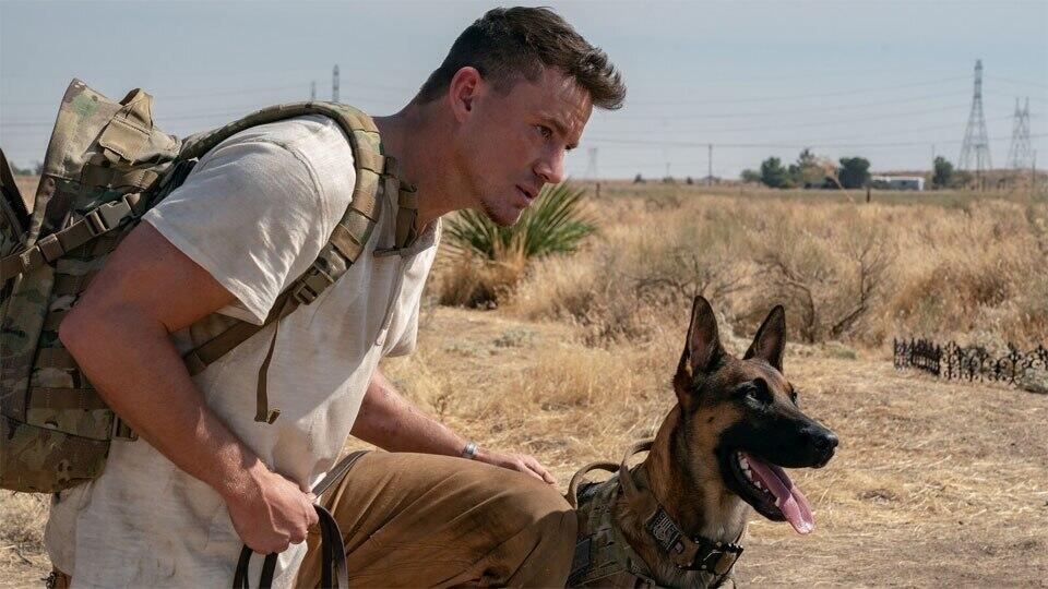 DOG - My dog is a Queen but I'am a Woman