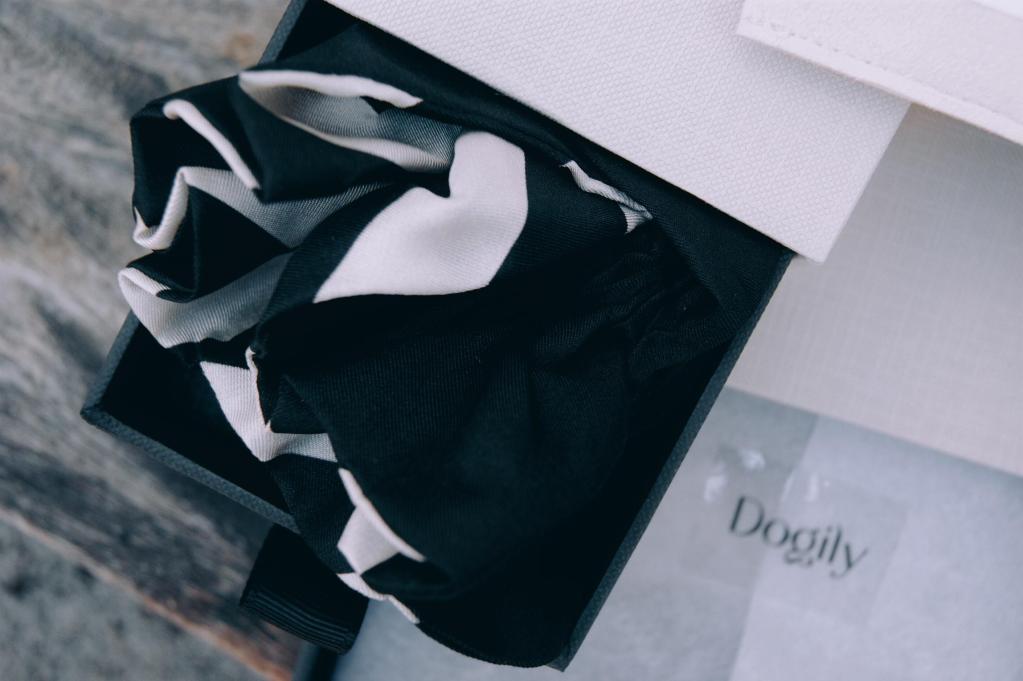 DOGILY - My dog is a Queen but I'am a Woman