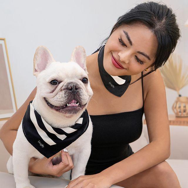 DOGILY - MDIAQ