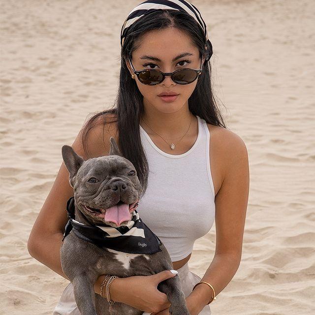 DOGILY - MDIAQ
