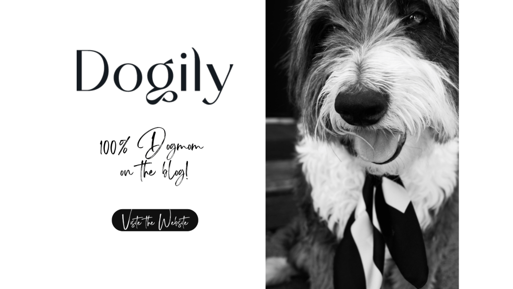 COLLIER DOGILY - MDIAQ