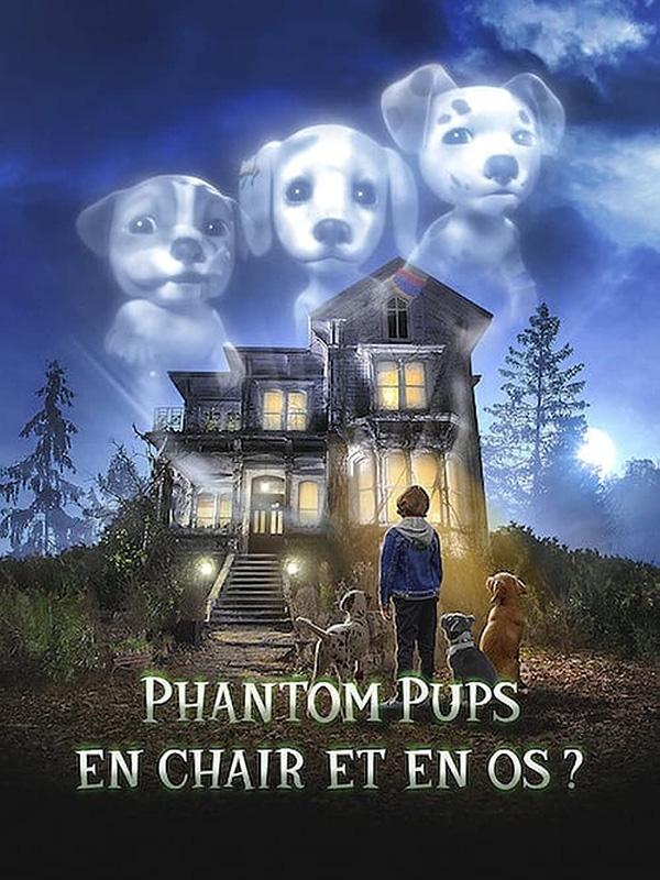 Phantom Pups - MDIAQ