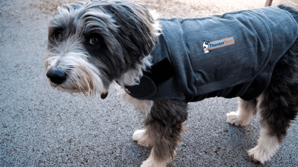 THUNDERSHIRT - MDIAQ