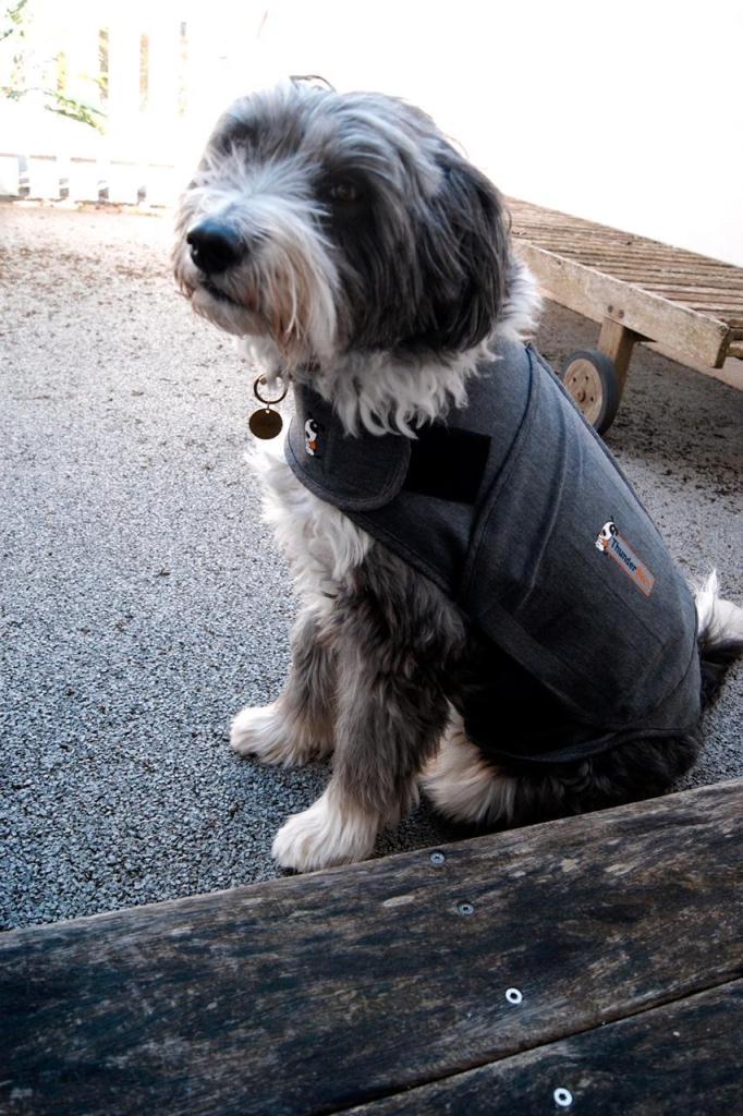 THUNDERSHIRT - MDIAQ