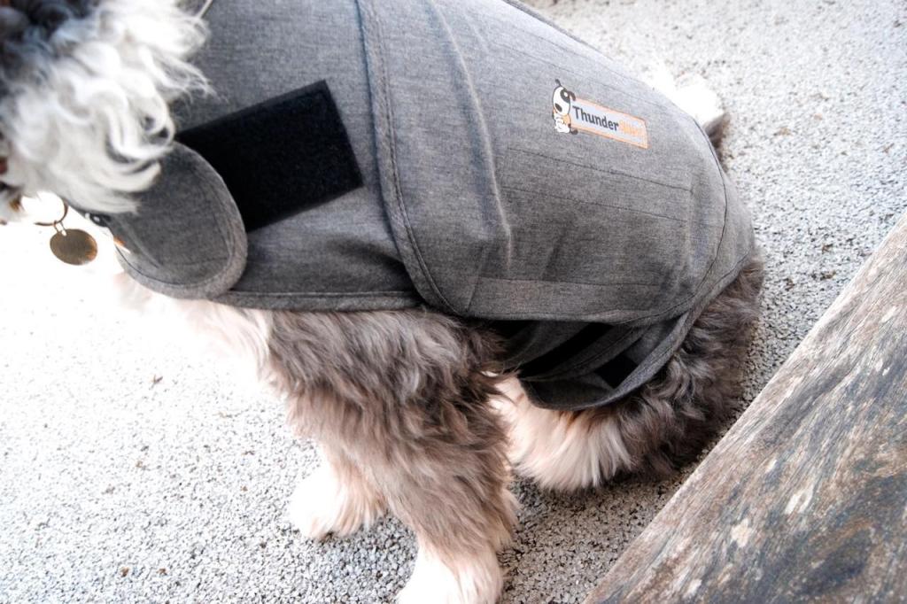 THUNDERSHIRT - MDIAQ