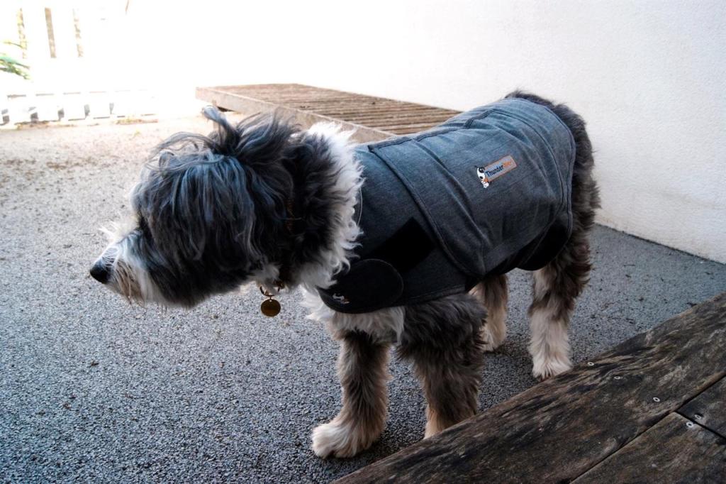 THUNDERSHIRT - MDIAQ