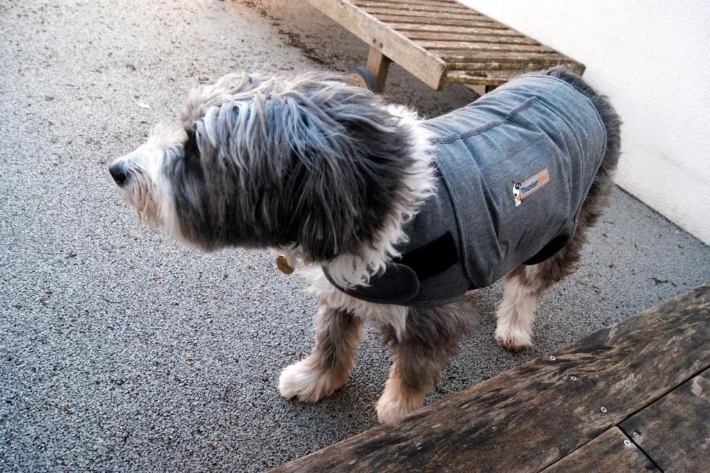 THUNDERSHIRT - MDIAQ