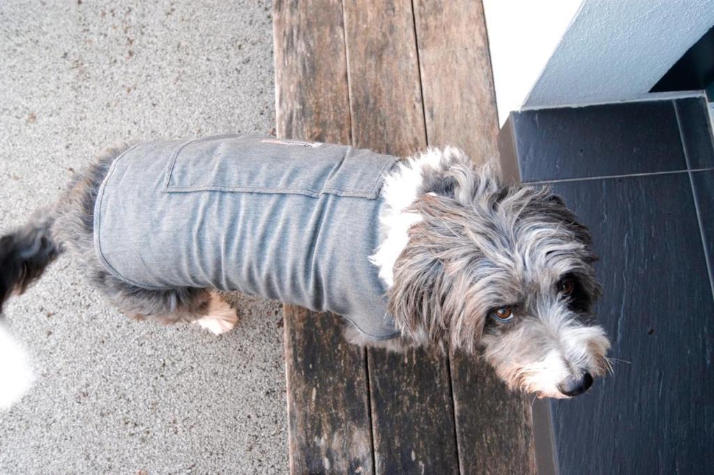 THUNDERSHIRT - MDIAQ
