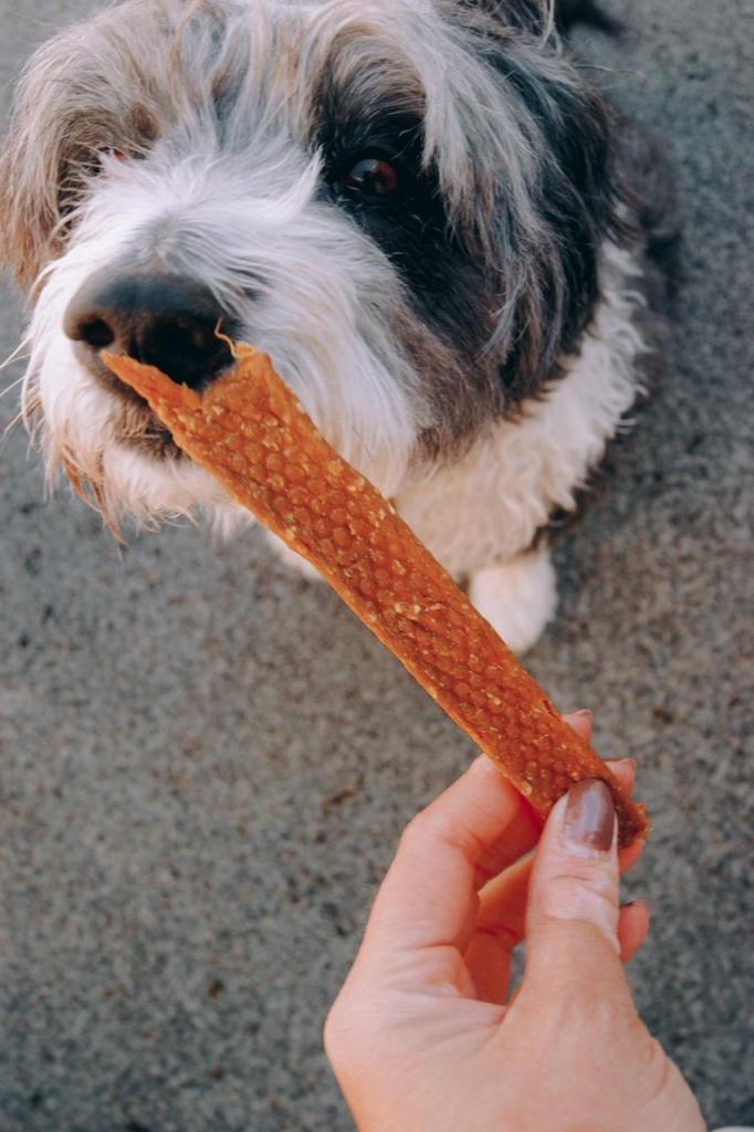 BERTY - My dog is a Queen but I'am a Woman