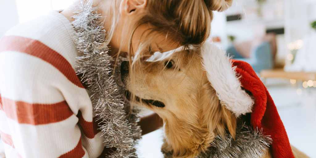 25 Idées cadeaux de Noel 2024 pour ton chien - MDIAQ
