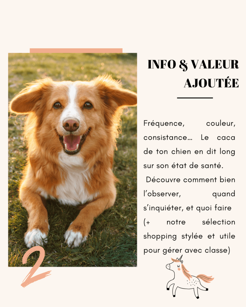Ce que les selles de votre chien révèlent sur sa santé - MDIAQ