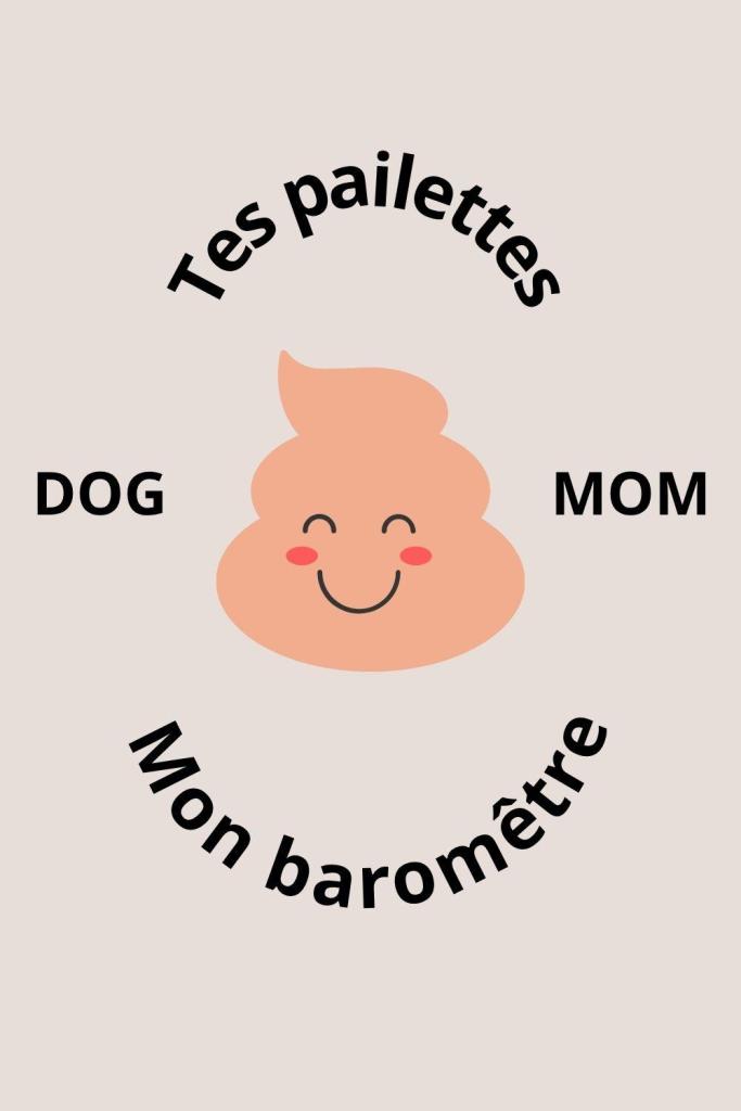 Ce que les selles de votre chien révèlent sur sa santé - MDIAQ